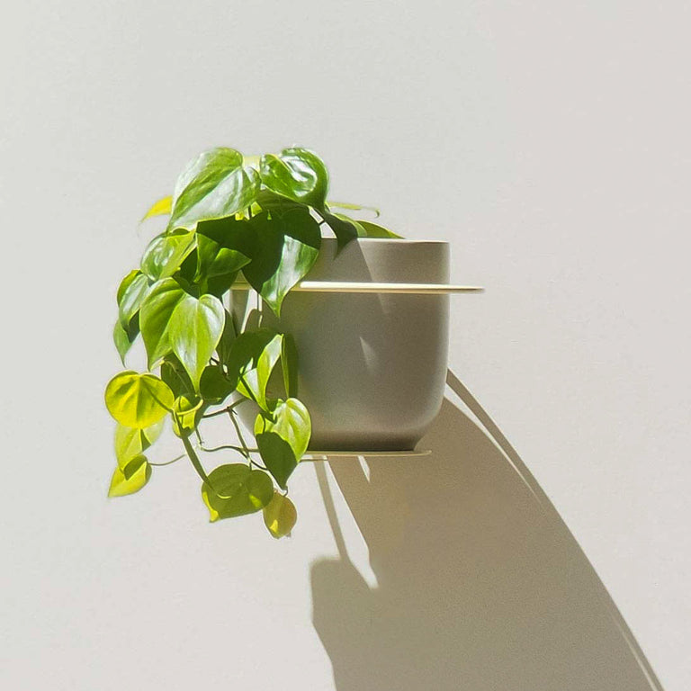STILL LIFE - Wall Planters, Hangers, Plant Stands, Pots and Ceramics ...