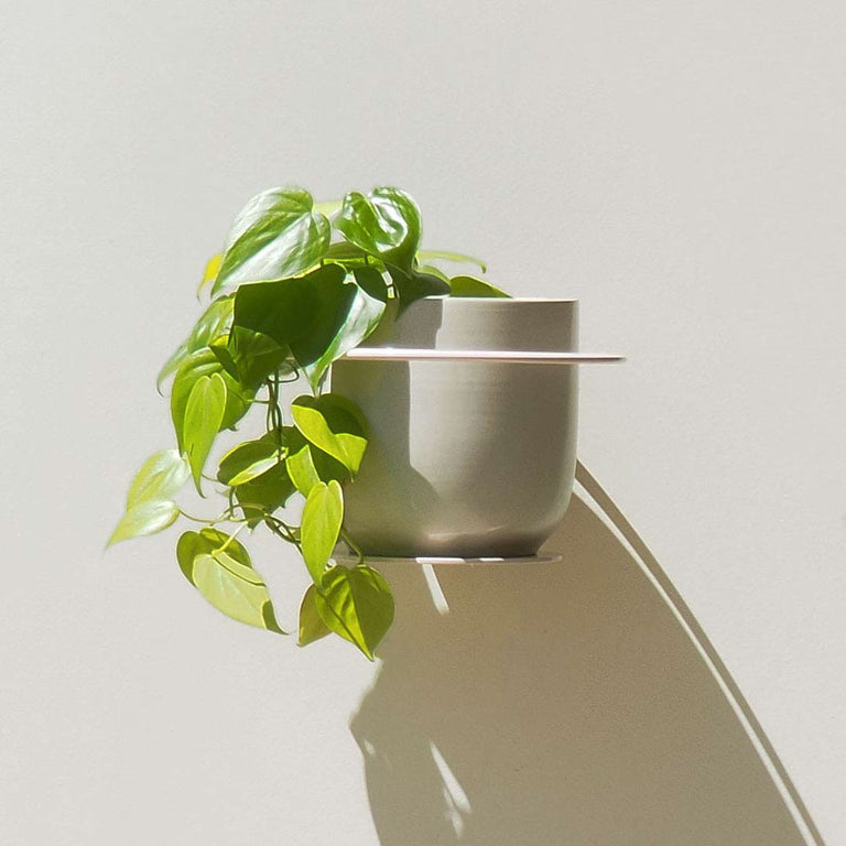 STILL LIFE - Wall Planters, Hangers, Plant Stands, Pots and Ceramics ...